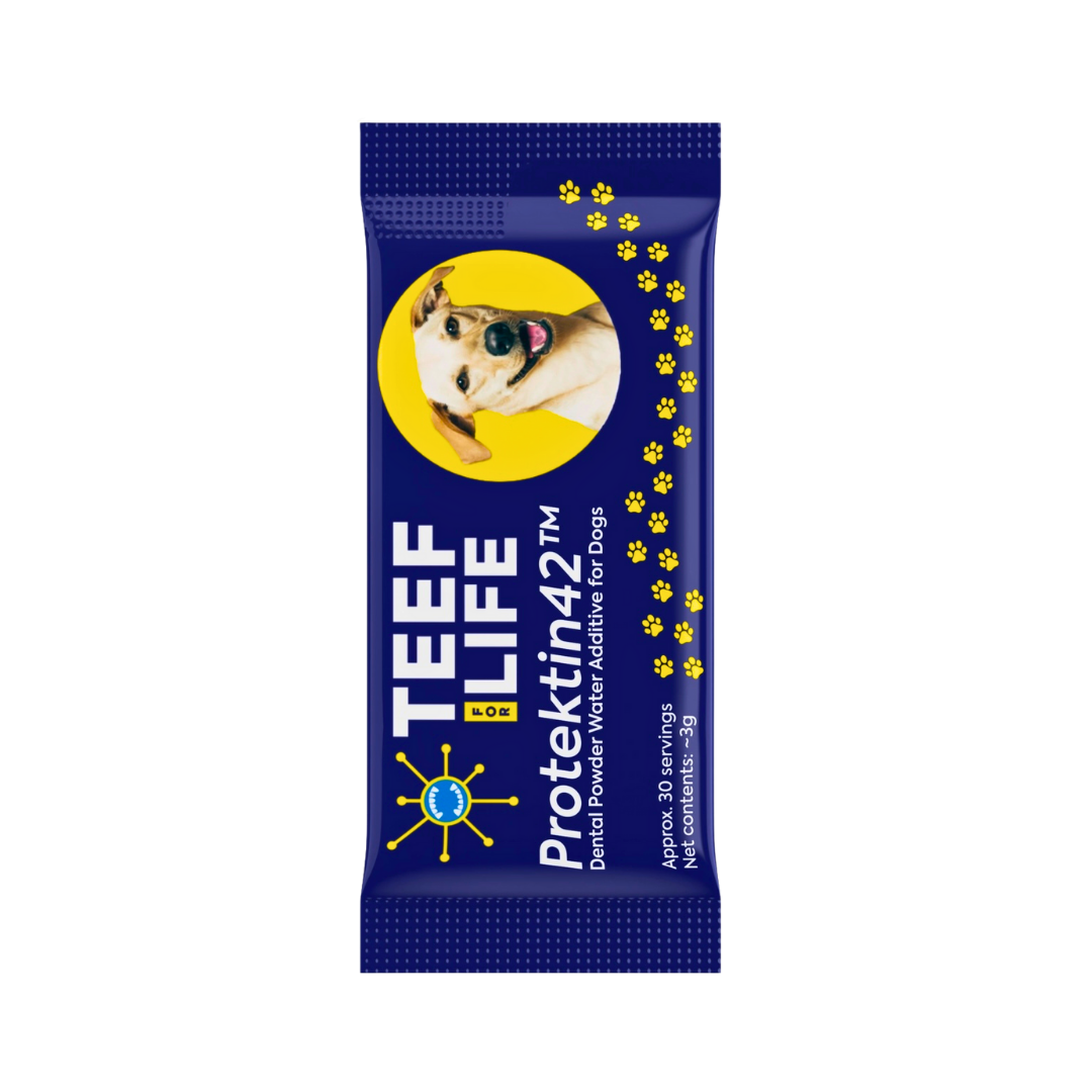 TEEF for Life Protektin42 | Refill Powder Packet – The Organic Dog Shop