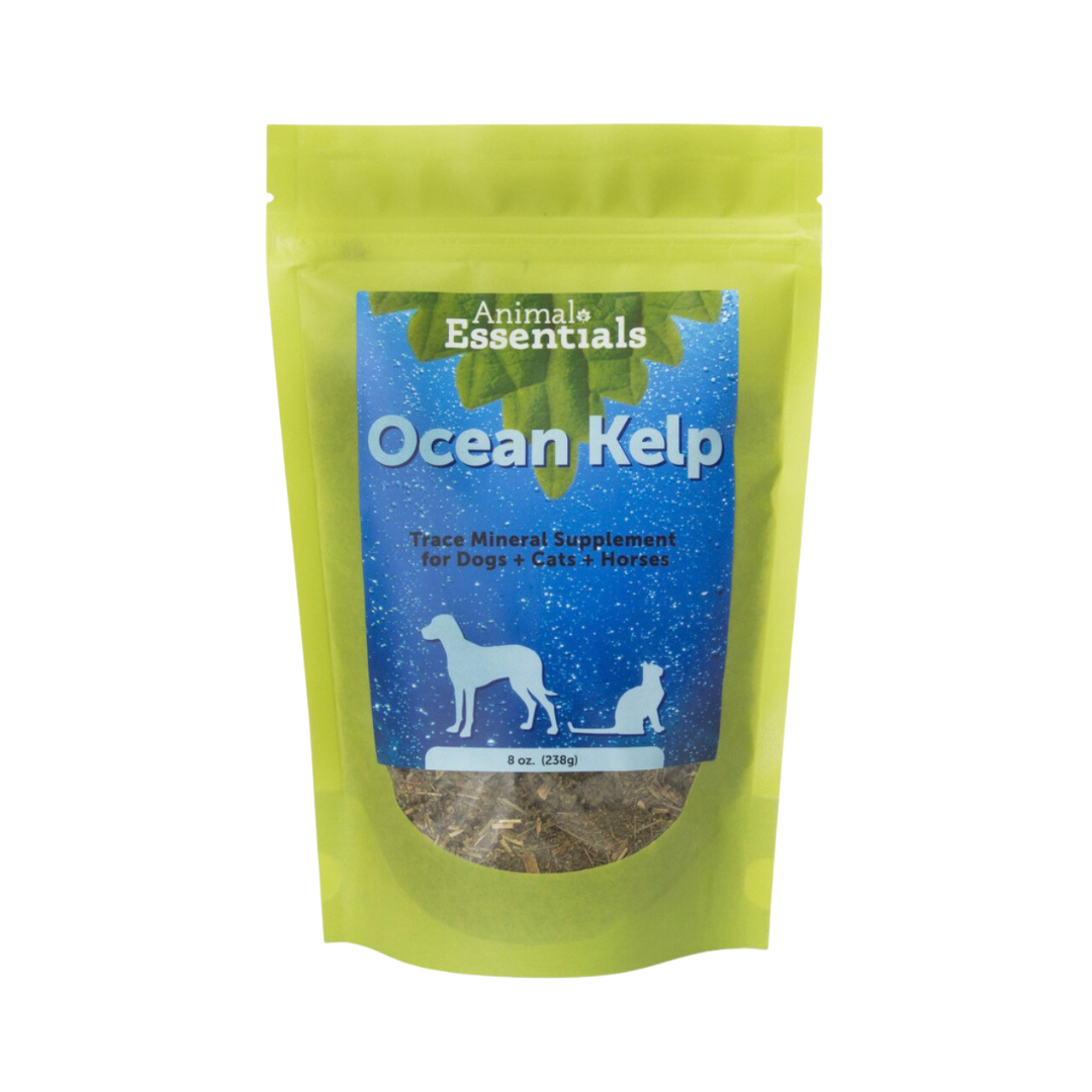 Animal Essentials Organic Ocean Kelp | Trace Minerals – The Organic Dog ...