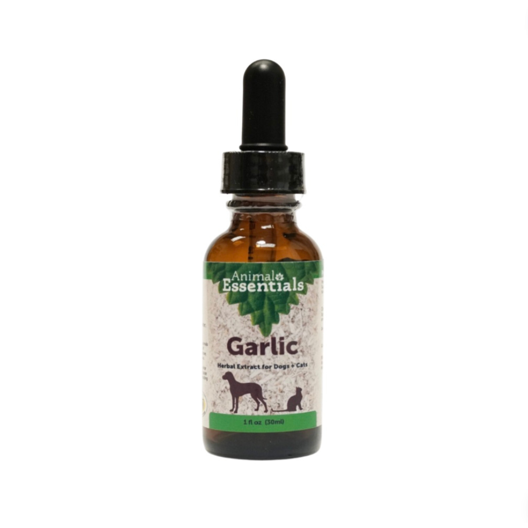 Animal Essentials Garlic | Immune Support + Natural Pest Repellent ...