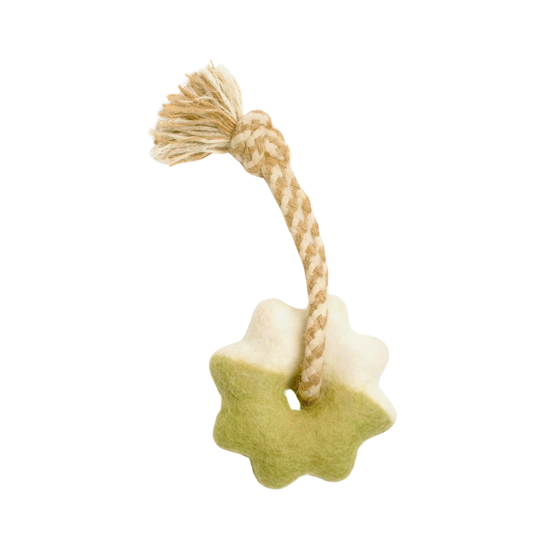 Awoo Wheely Good Time Wool Toy – The Organic Dog Shop