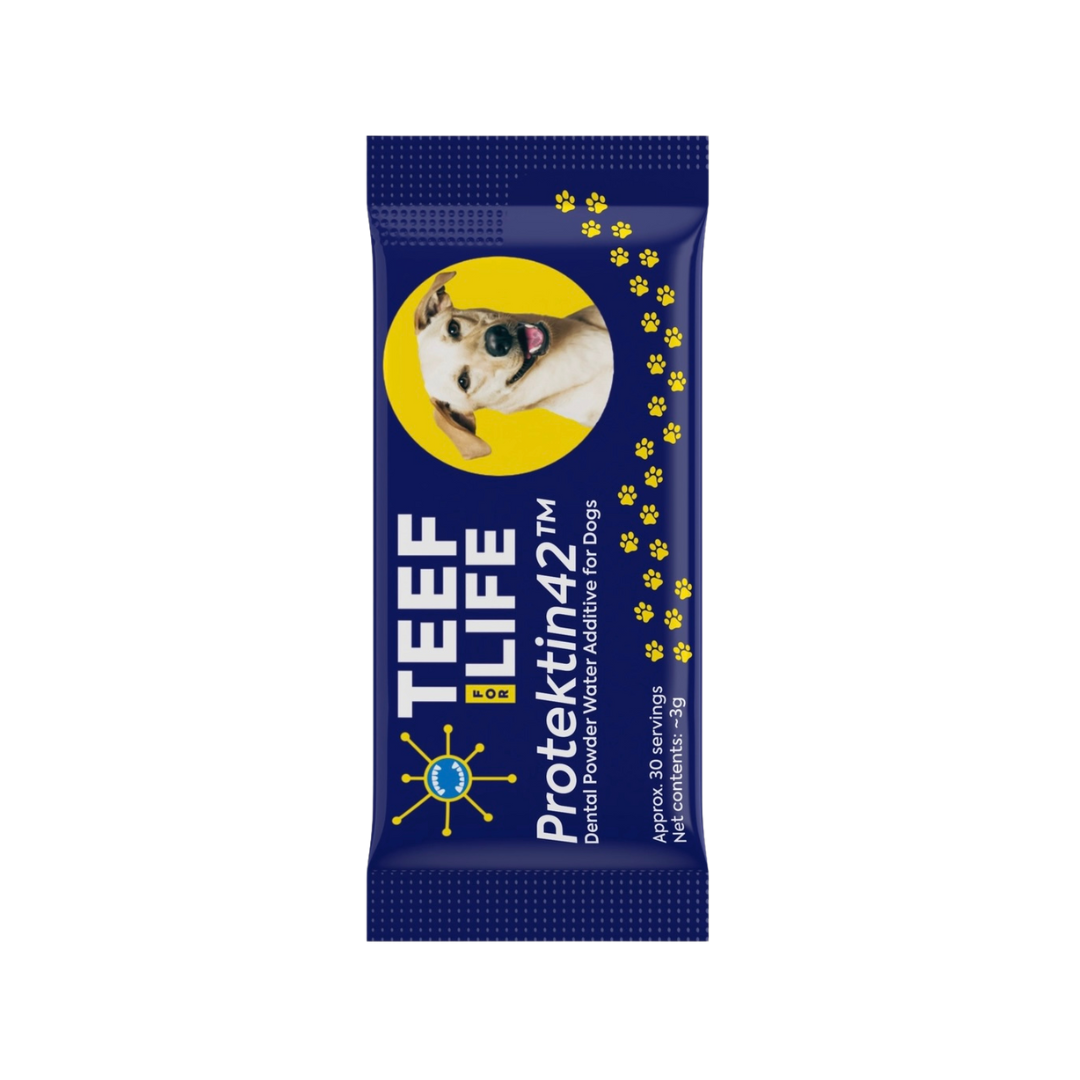 TEEF for Life Protektin42 | Refill Powder Packet – The Organic Dog Shop