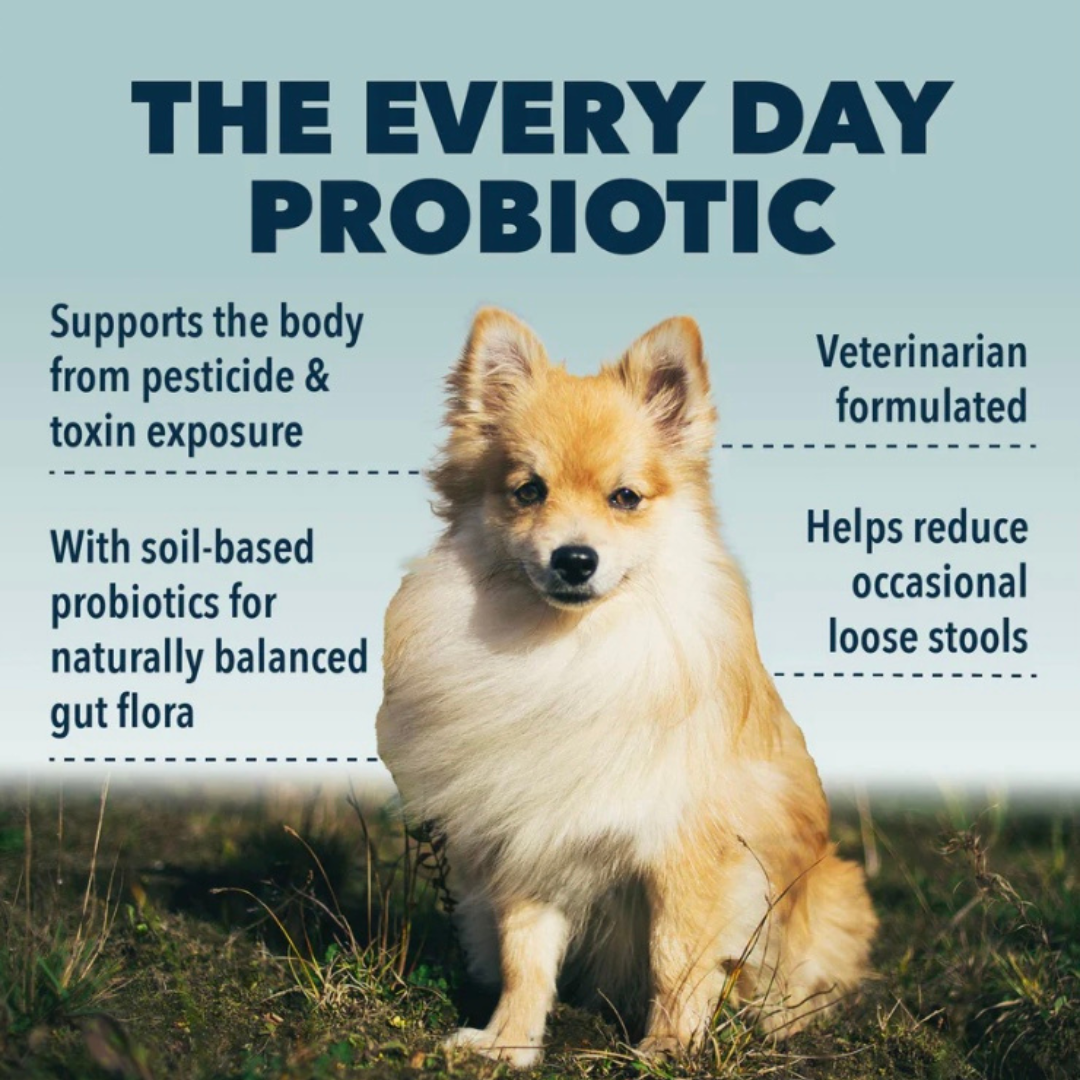 Four Leaf Rover Protect | Soil Based Probiotics & Prebiotics – The ...